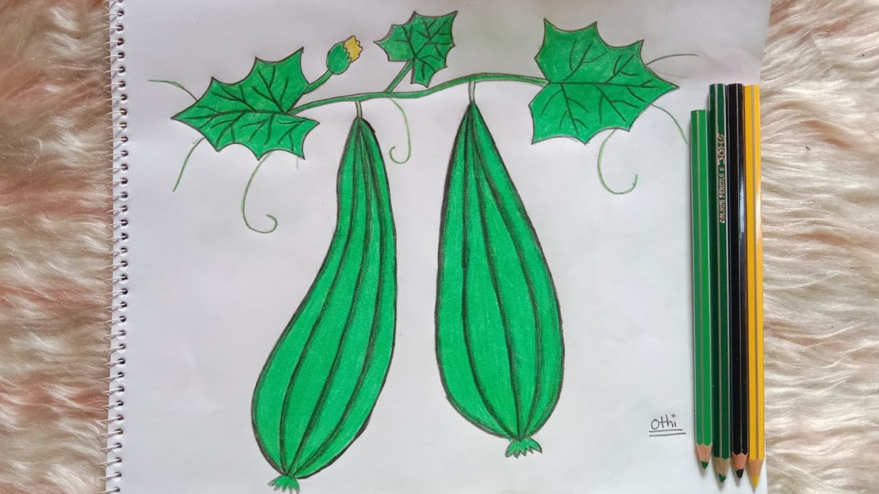 How to draw Jhingga step by step || Easy Jhingga drawing || Easy ...