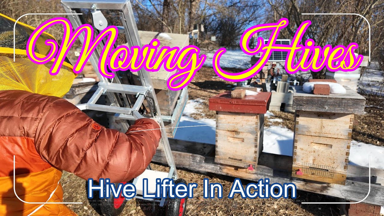 Moving Bee Hive Short Distance with Hive Lifter inside bear fence ...