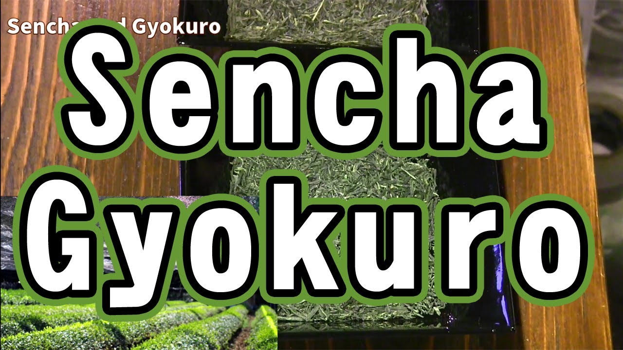 【Green Tea】The difference of Sencha and Gyokuro - YouTube