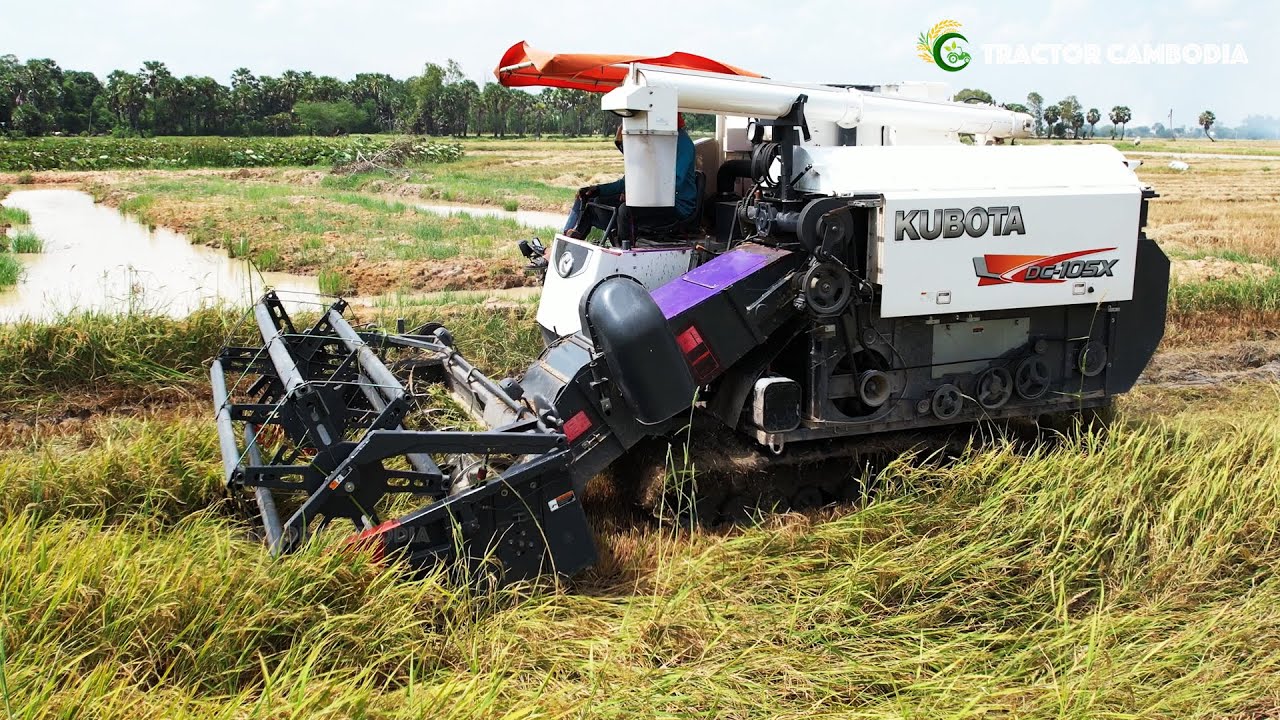 That Useful Activities Skills Combine Harvester Harvest Rice ...