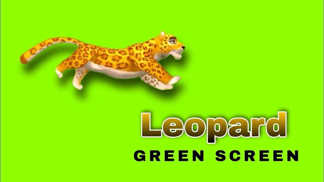Leopard चित्ता | running walking greenscreen cartoon animation | wild ...