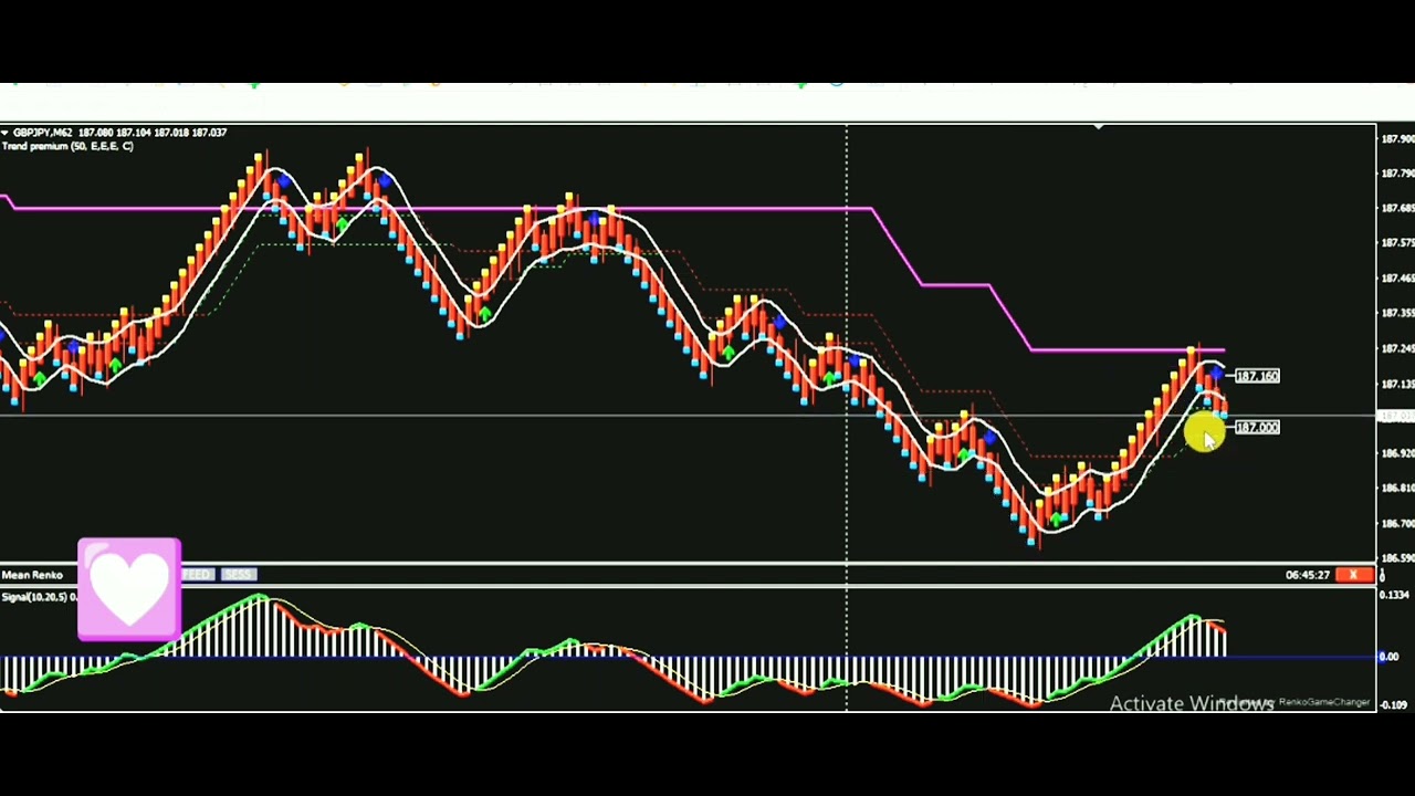 Renko Game Changer v4 part 2 guideline - YouTube