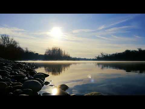 1 Saatlik Kuş Cıvıltısı ve Göl Kenarı Doğa Sesleri – Relaxing Nature Ambience for Meditation & Sleep