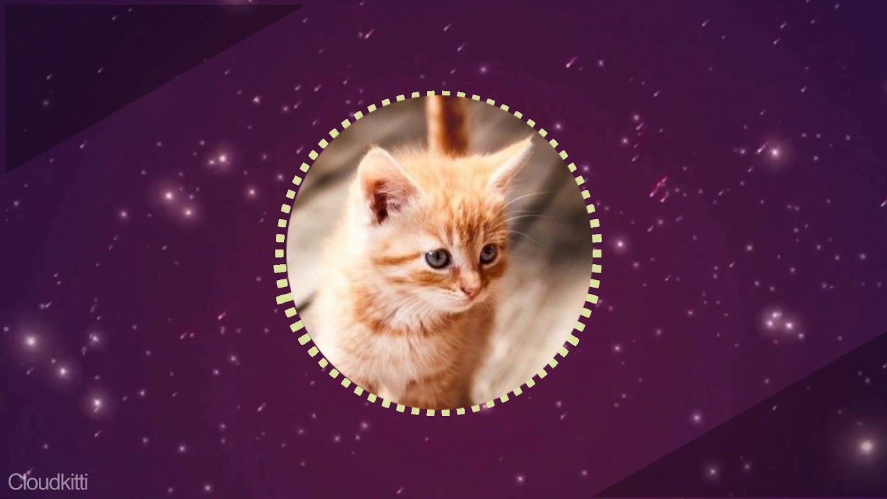 Platform 9 - Oneeva (Platform 9 animation meme song) - YouTube