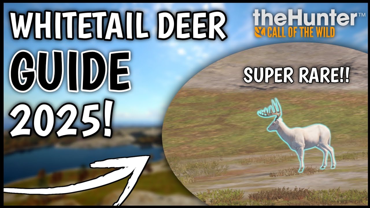 The ULTIMATE Whitetail Deer Guide for 2025! WE SPAWNED A SUPER RARE ...