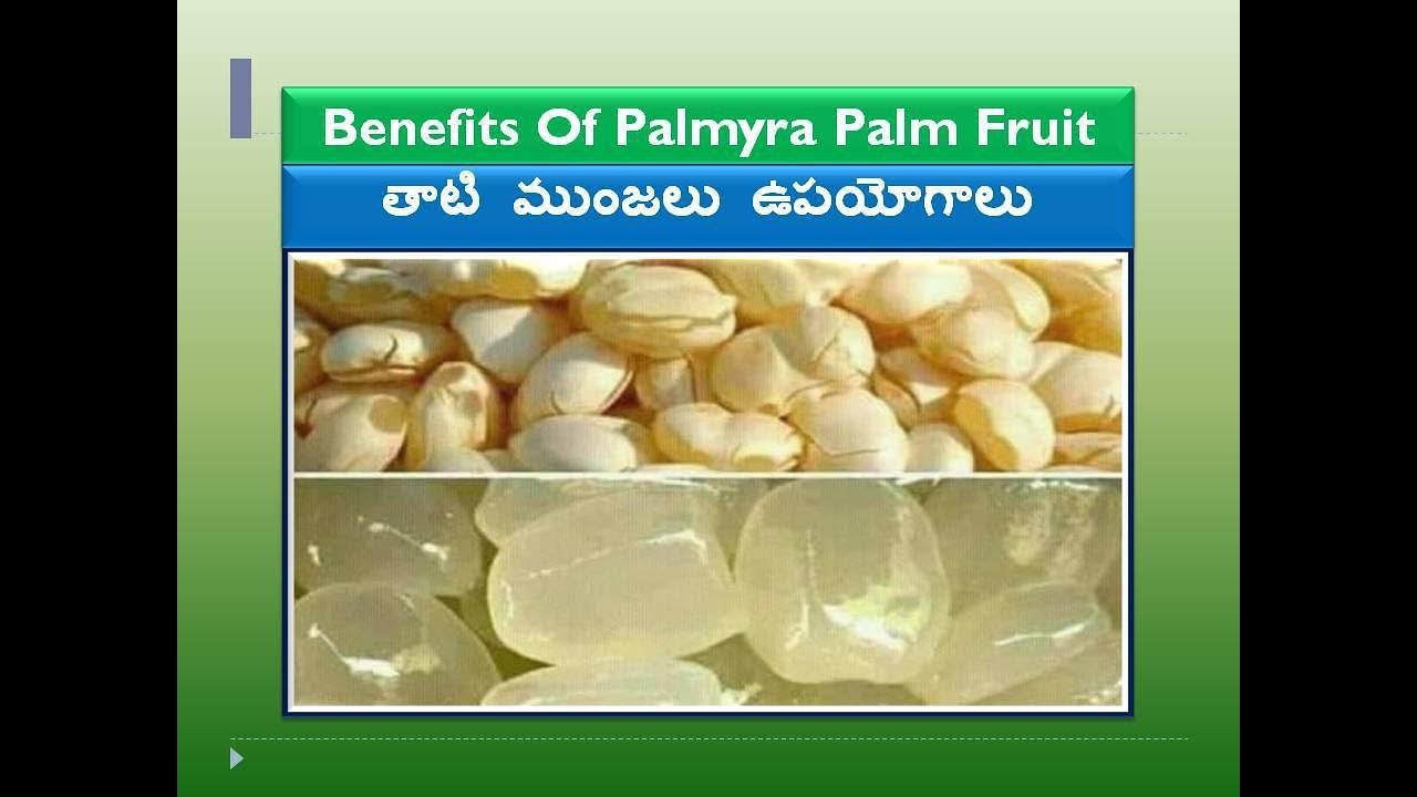 Benefits Of Palmyra Palm Fruit - తాటి ముంజలు ఉపయోగాలు - YouTube