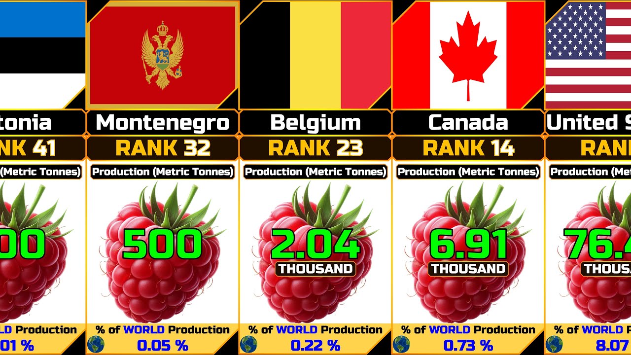 Raspberry Production (Annual) by Country - YouTube