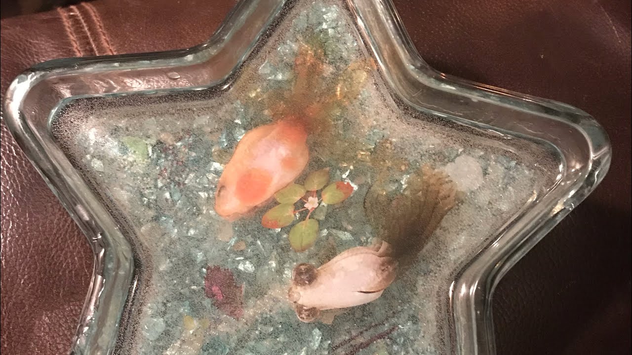 #20 How to make a Resin fish bowl!!! #wandascreations # ...