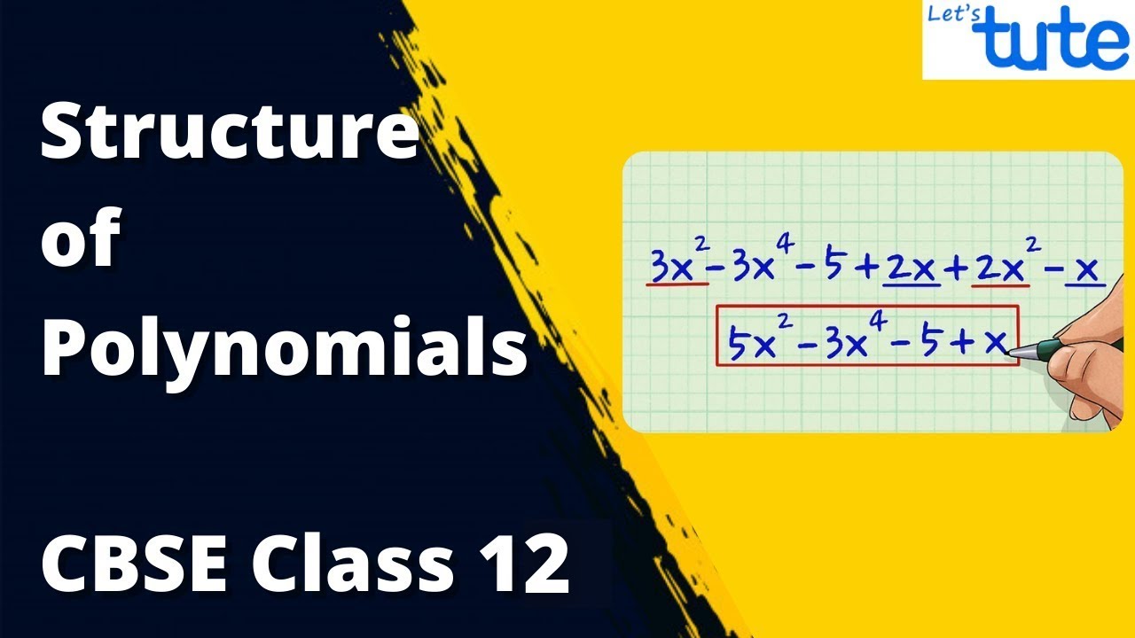 Structure of Polynomials | Class 12 Maths | Letstute CBSE - YouTube