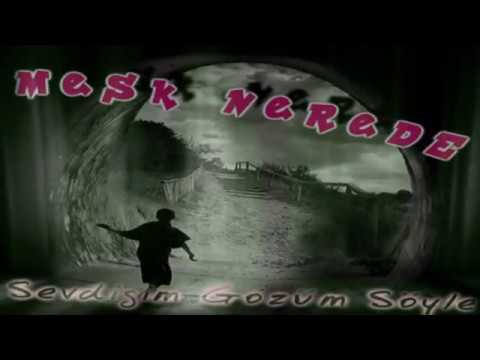 zorlu sevdam niran ünsal