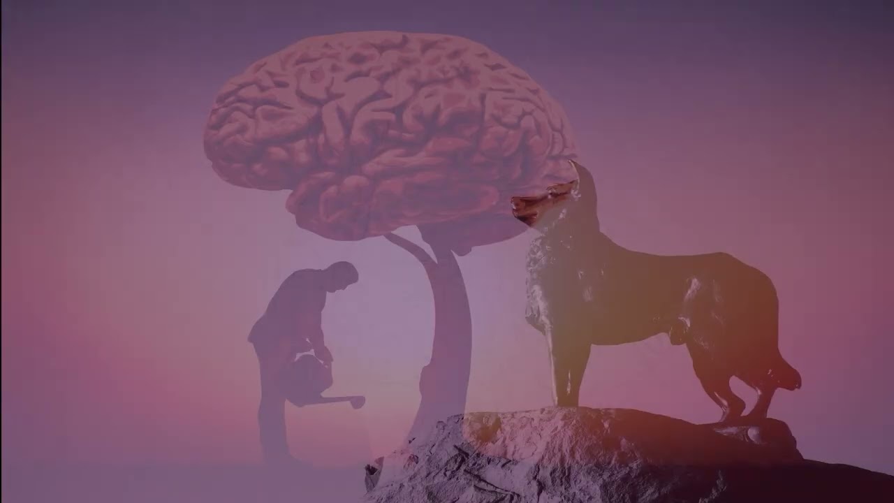 Bill Meacham, Ph.D. — Philosopher and planksip Contributor - YouTube