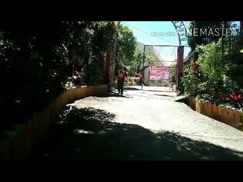 Role play about the Seven functions of Language according to Michael ...