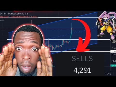 Digimon Rabbit Coin | Buy Order And Sell Order Explained |What Happens ...