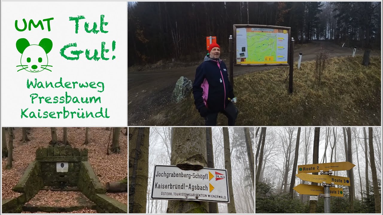 Tut Gut Wanderweg - Pressbaum Route-2 - YouTube