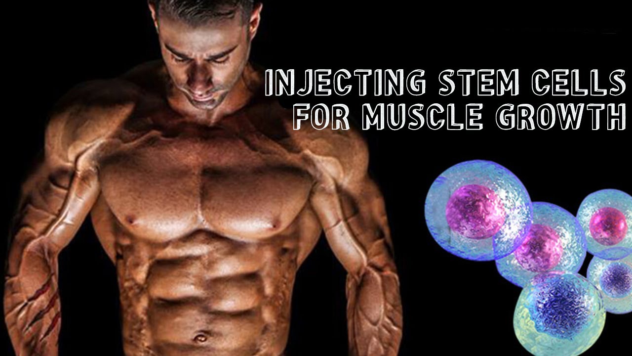 Injecting Stem Cells for Muscle Growth - YouTube