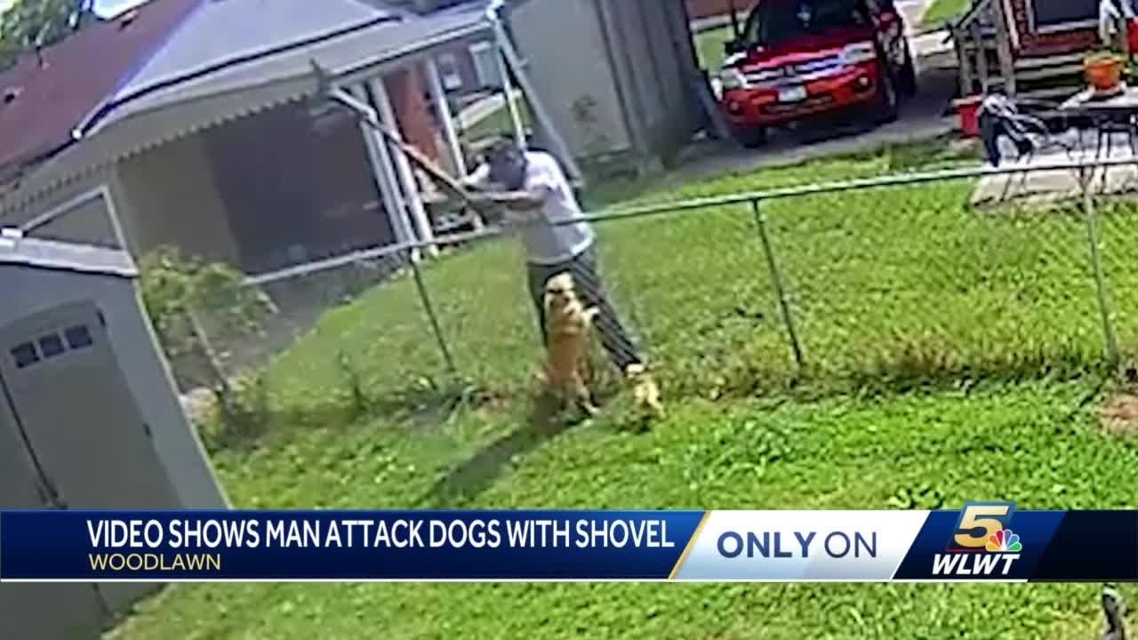 Video shows man attack dog with shovel in Woodlawn - YouTube