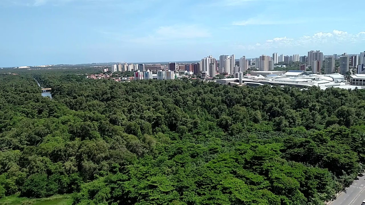 Parque Estadual do Cocó - Fortaleza-Ce - Coisas que o tempo levou ...