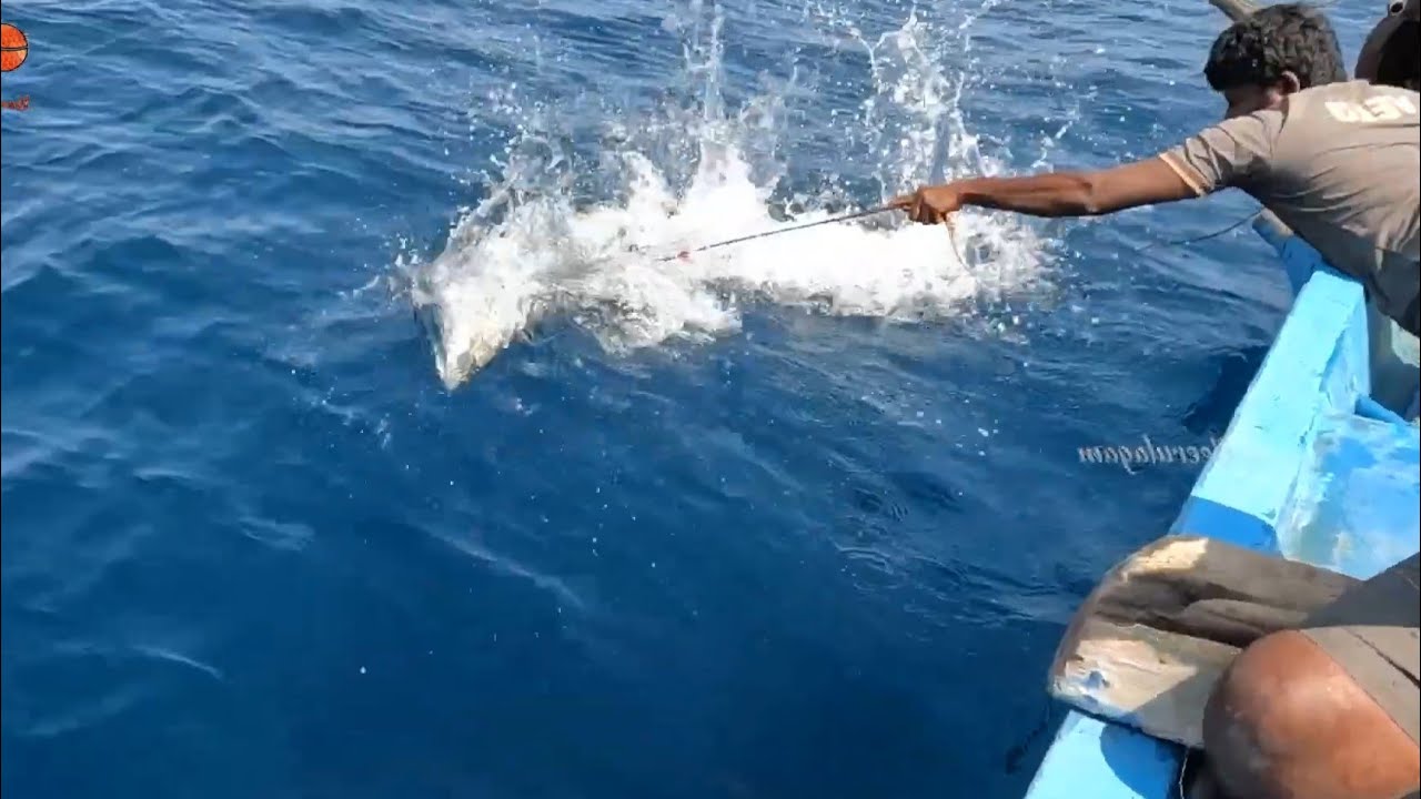 Huge Fight with Monster Fish in deep sea | Fishing for king fish, mahi ...