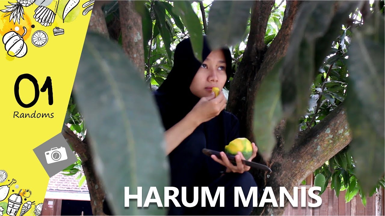 HARUM dan MANIS - #FESTIVALIKLANBUKALAPAK - YouTube