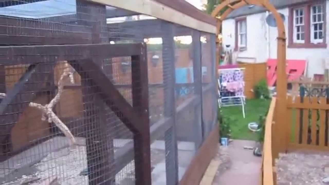 My first aviary 10x8 shed and 15x10x6.8 flight - YouTube