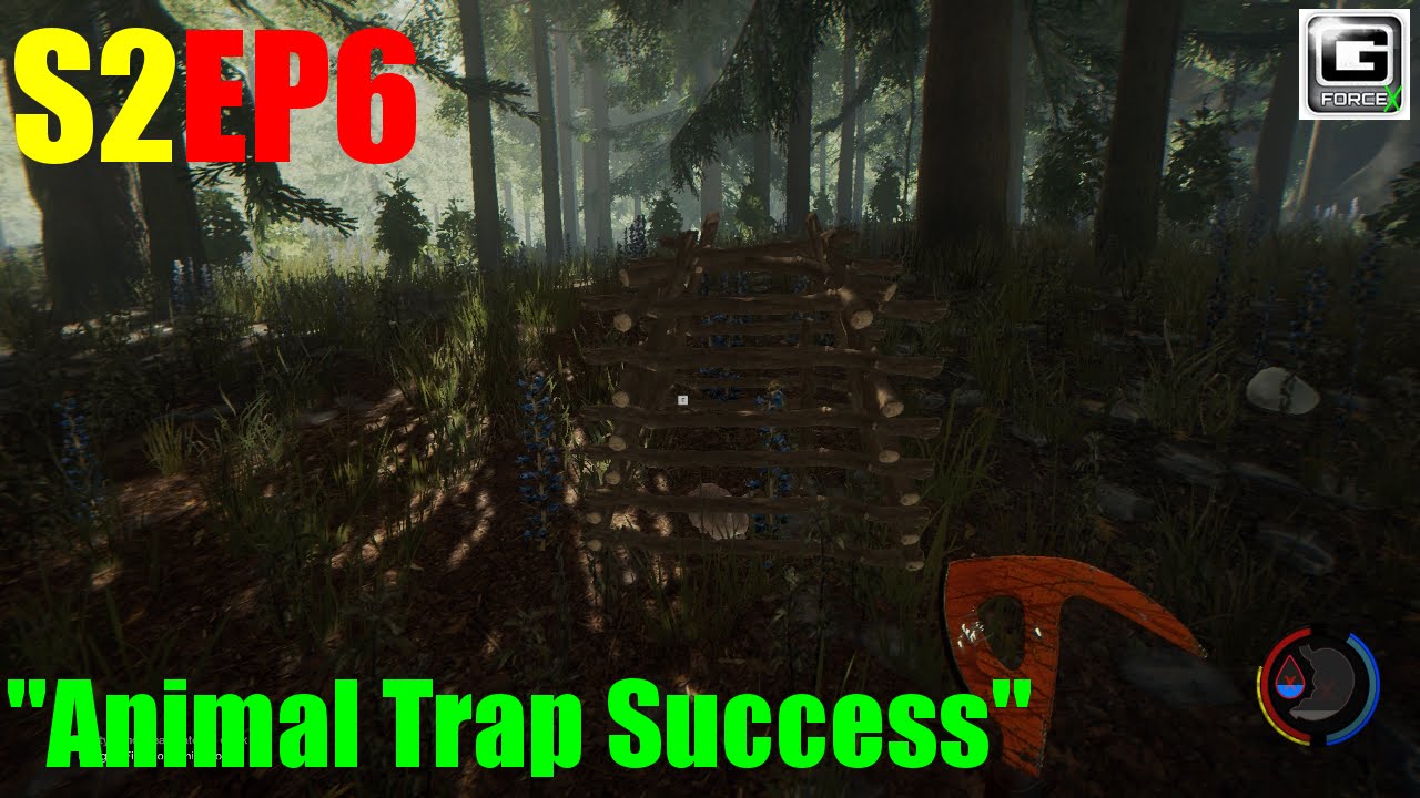 The Forest "Animal Trap Success" The Forest S2 EP6 - YouTube