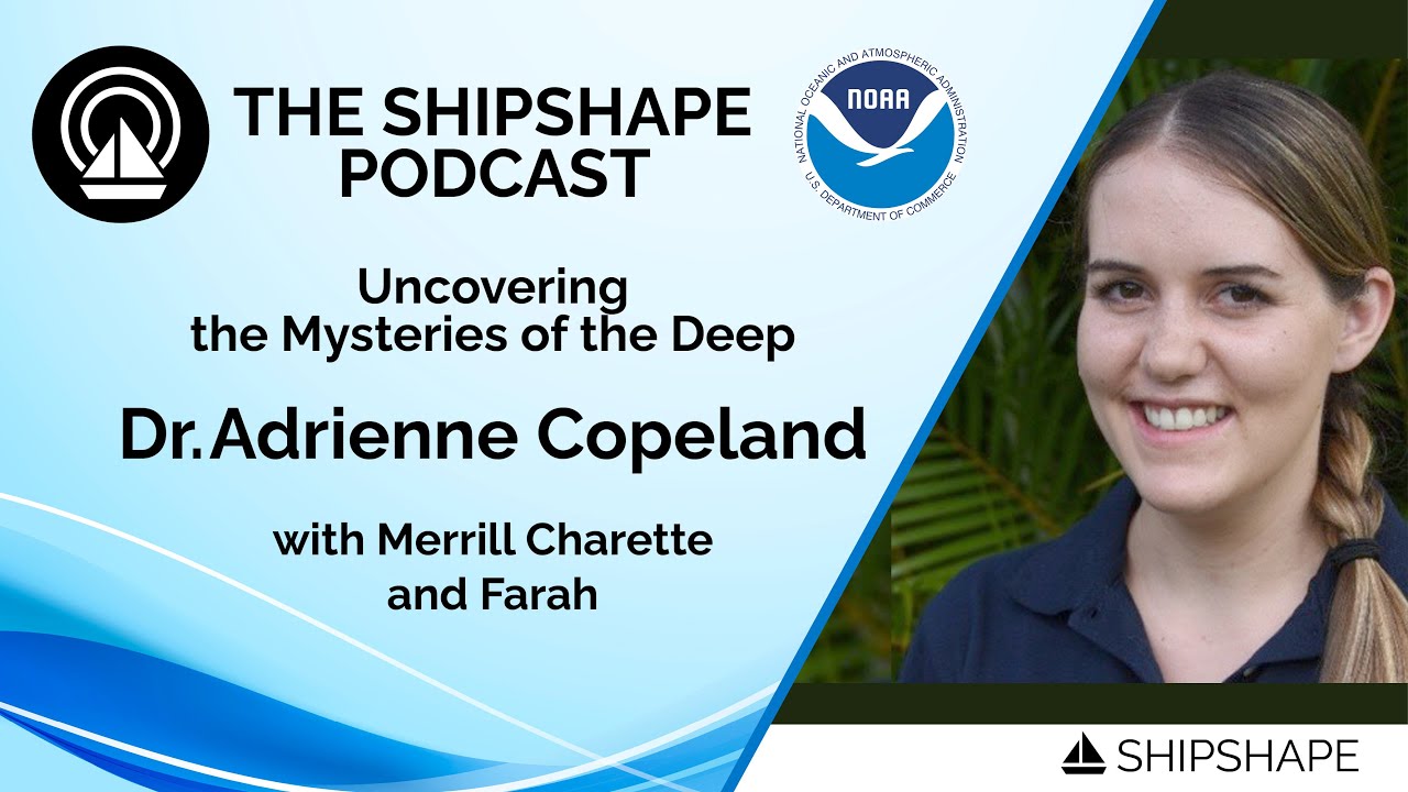 NOAA's Oceanexplorer: A Deep Dive into Marine Biology and Exploration ...