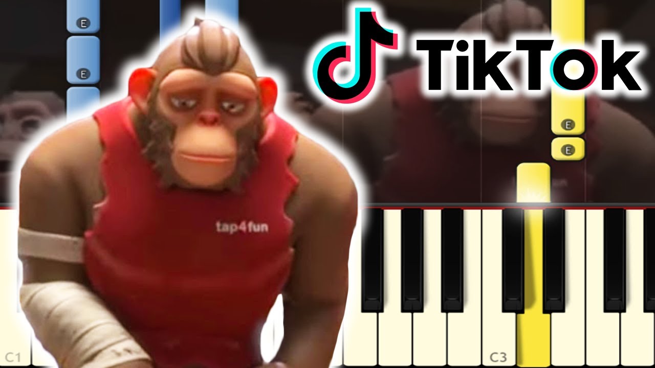 Monkeys Singing Chinese TikTok! - YouTube