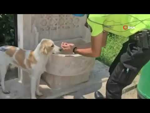 Trafik polisinden yüreklere dokunan hareket