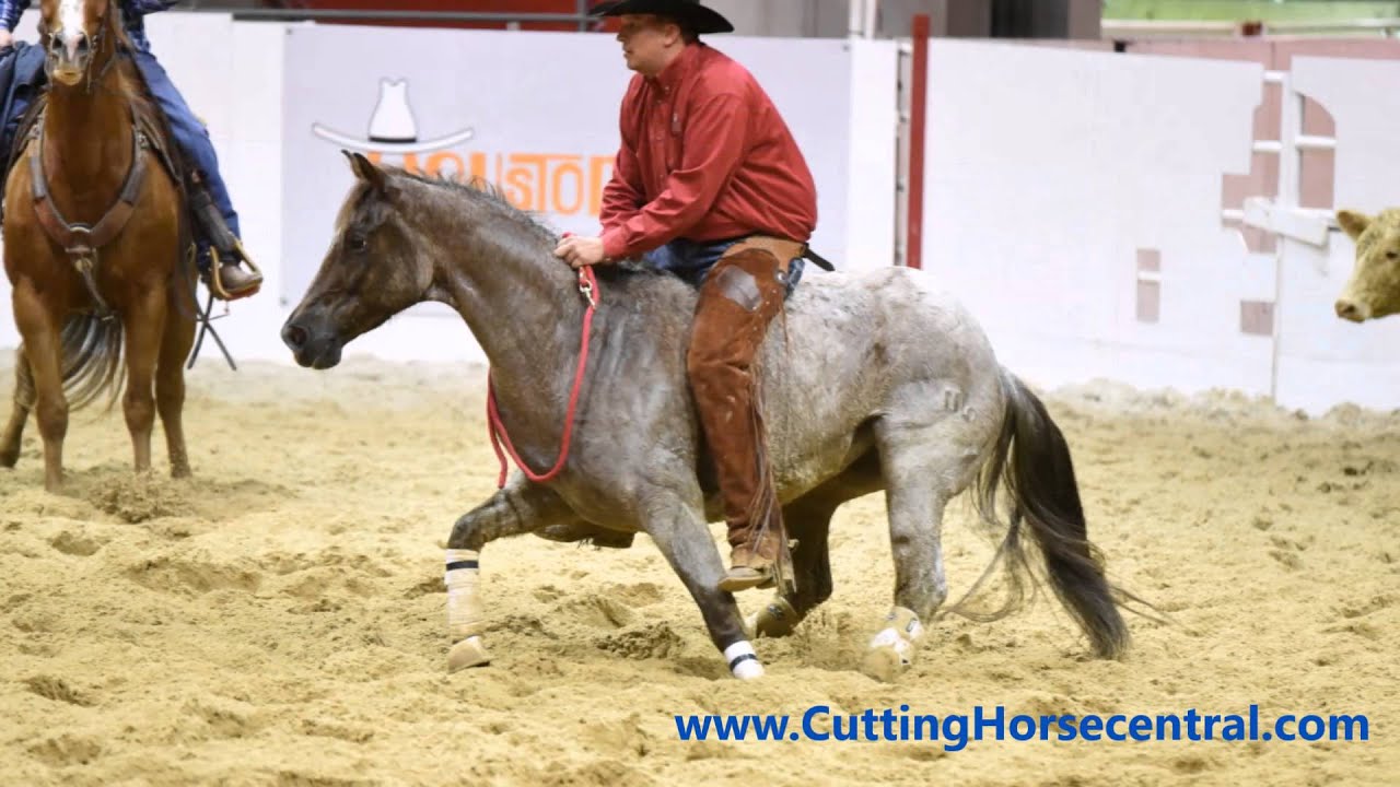 2016 NCHA Mercuria Finals Highlights at Houston Rodeo - YouTube