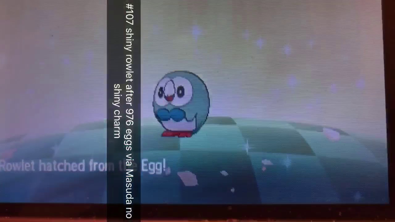 #107 shiny rowlet after 976 eggs via Masuda no shiny charm in pokemon ...