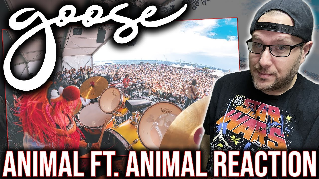 REACTION TO "ANIMAL" BY GOOSE FT. ANIMAL! - YouTube