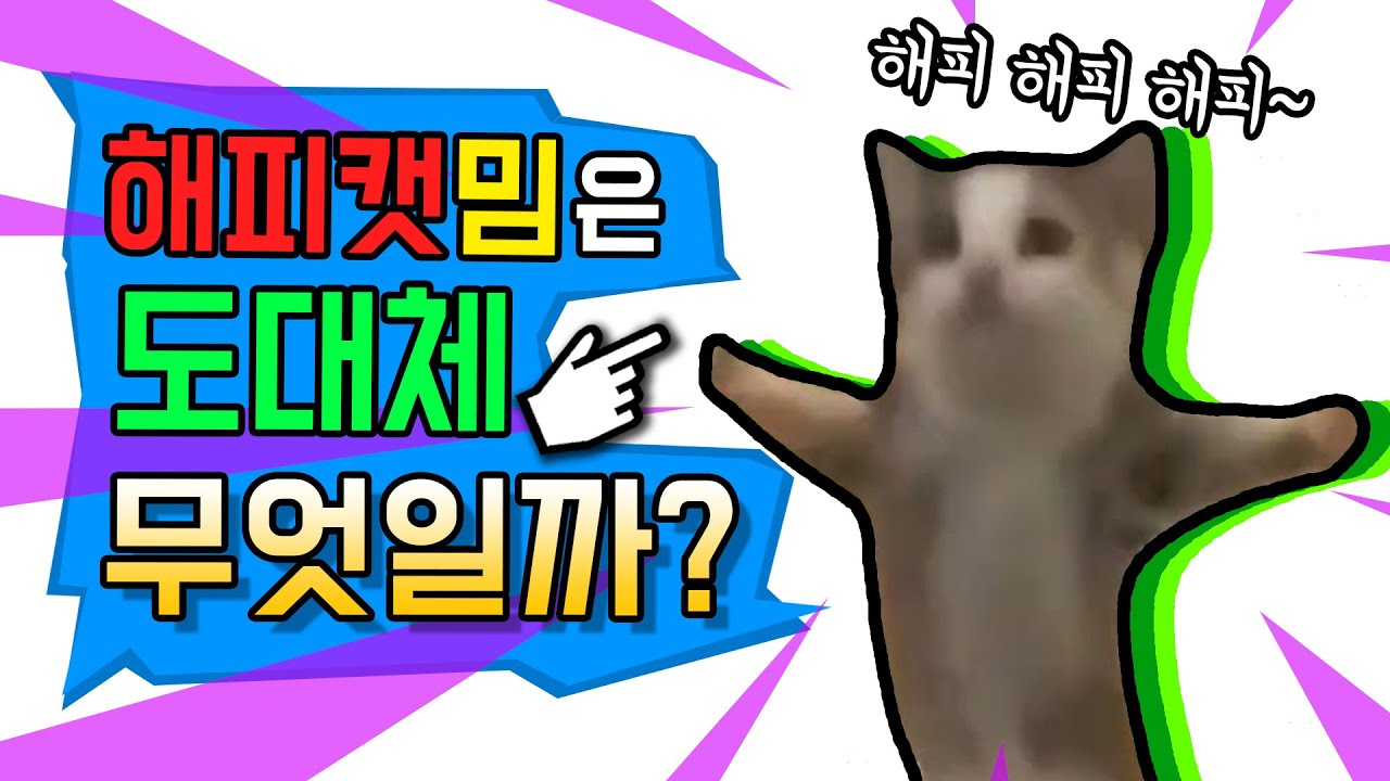해피캣 밈은 도대체 무엇일까 Youtube