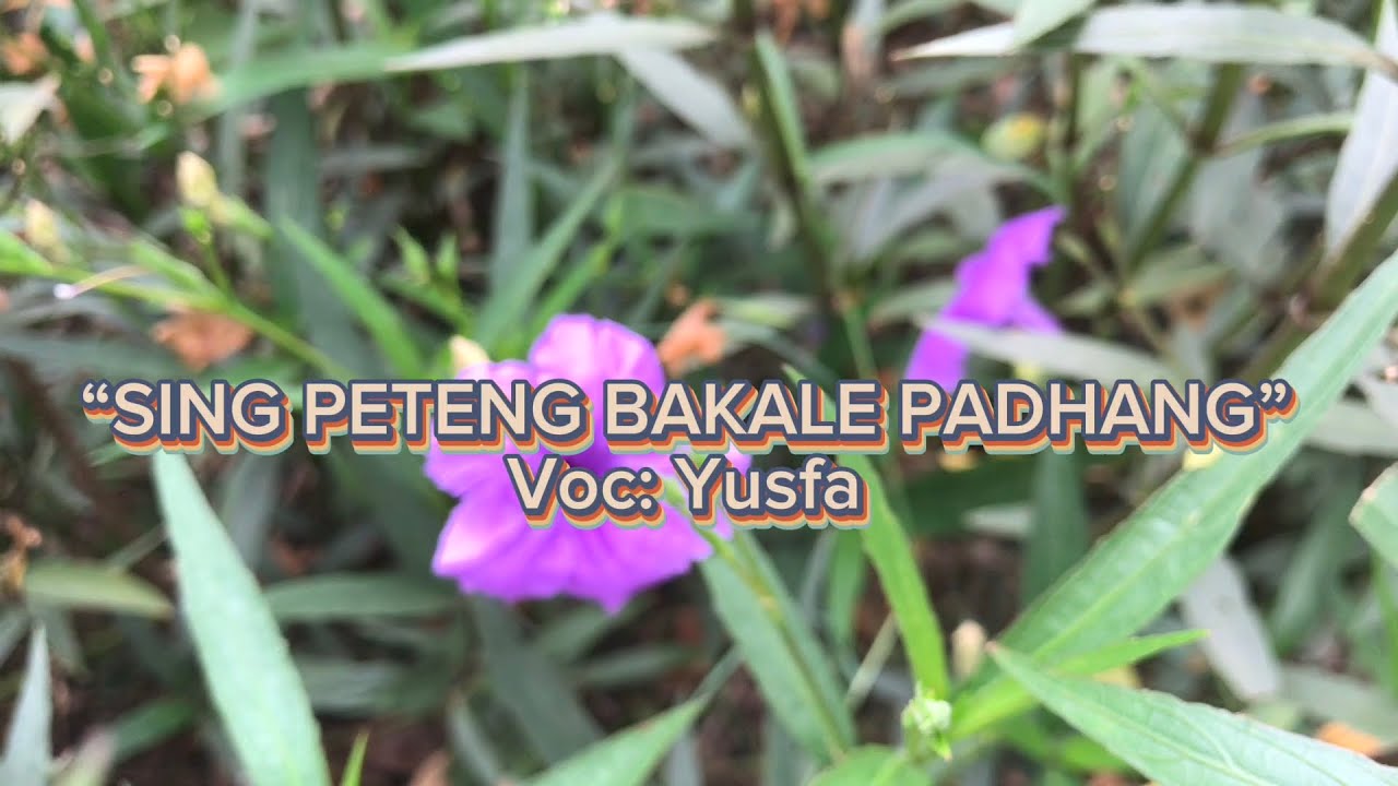 SING PETENG BAKALE PADHANG - Klompok 5-B - YouTube