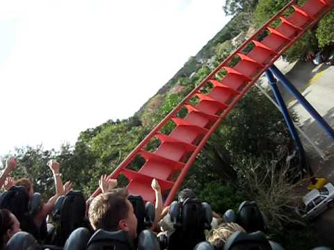 90 degree drop SheiKra Roller Coaster at Busch Gardens Africa in Tampa ...