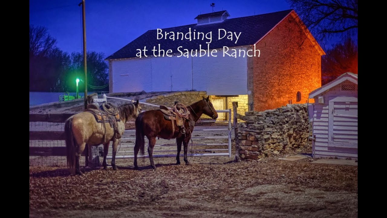 Branding Day at the Sauble Ranch - YouTube