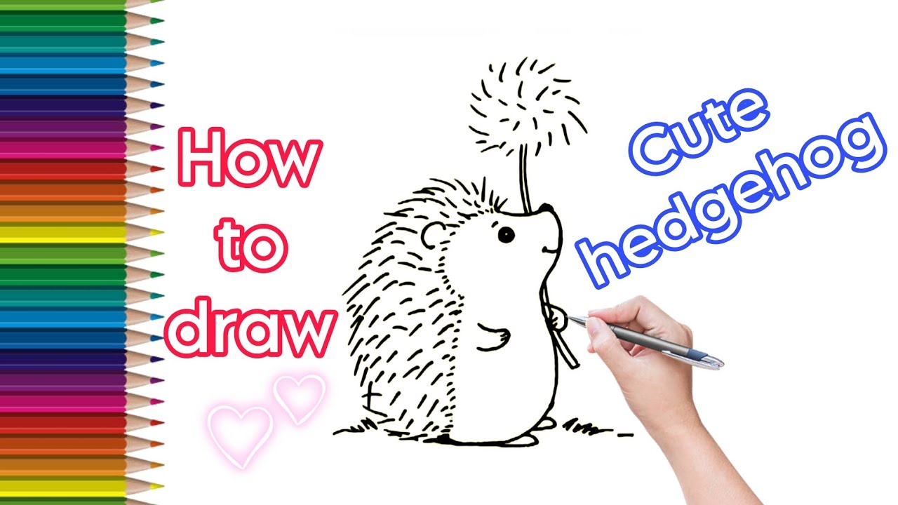 How To Draw A Cute HEDGEHOG Clipart,To Draw step by step, DL cute ...