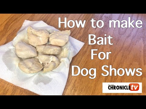 How to Make Chicken for Bait in a Dog Show [Updated Guide]