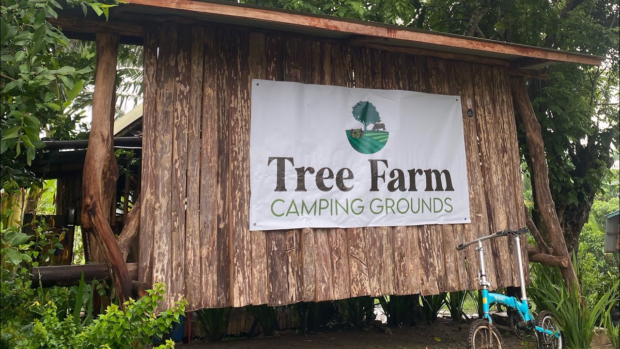 D Tree Farm Bailen Cavite newly opened campgrounds - YouTube