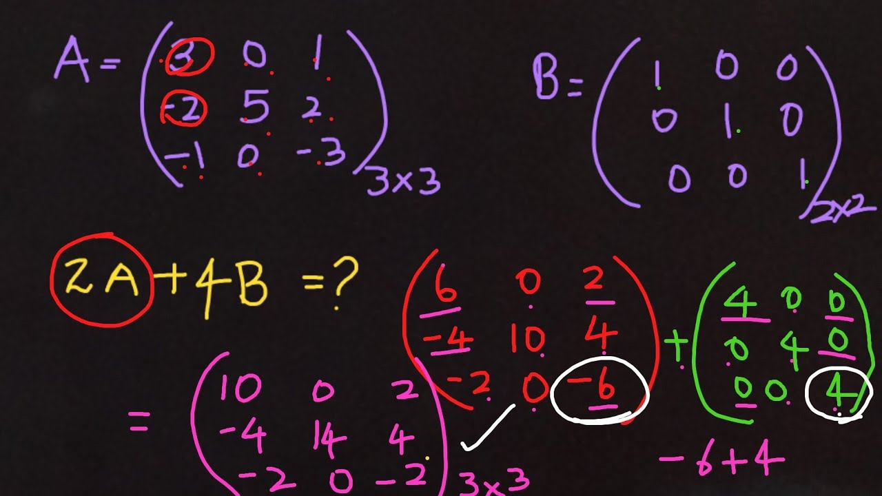 MATRICES 📍 || ️ Multiplication Matrix with an INTEGER | Order of Matrix ...