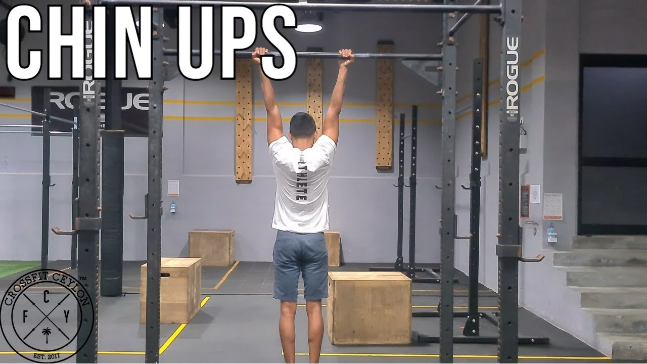 Chin Ups ( Supinated Grip Pullups) - YouTube