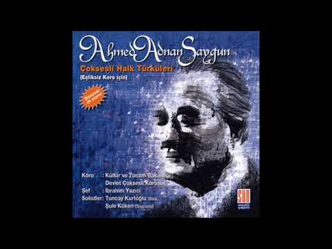Ahmed Adnan Saygun - Hem Okudum Hemi Yazdım