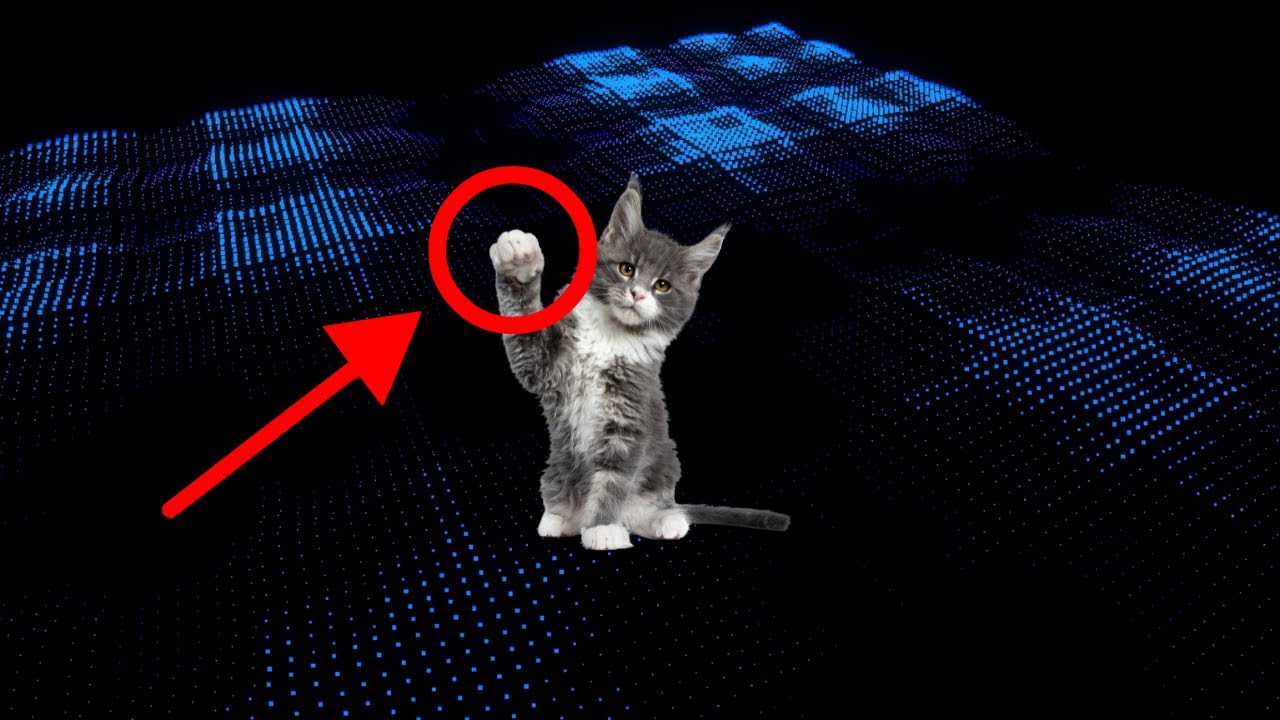 2 Ai's try to understand why cat's knock stuff off tables - YouTube