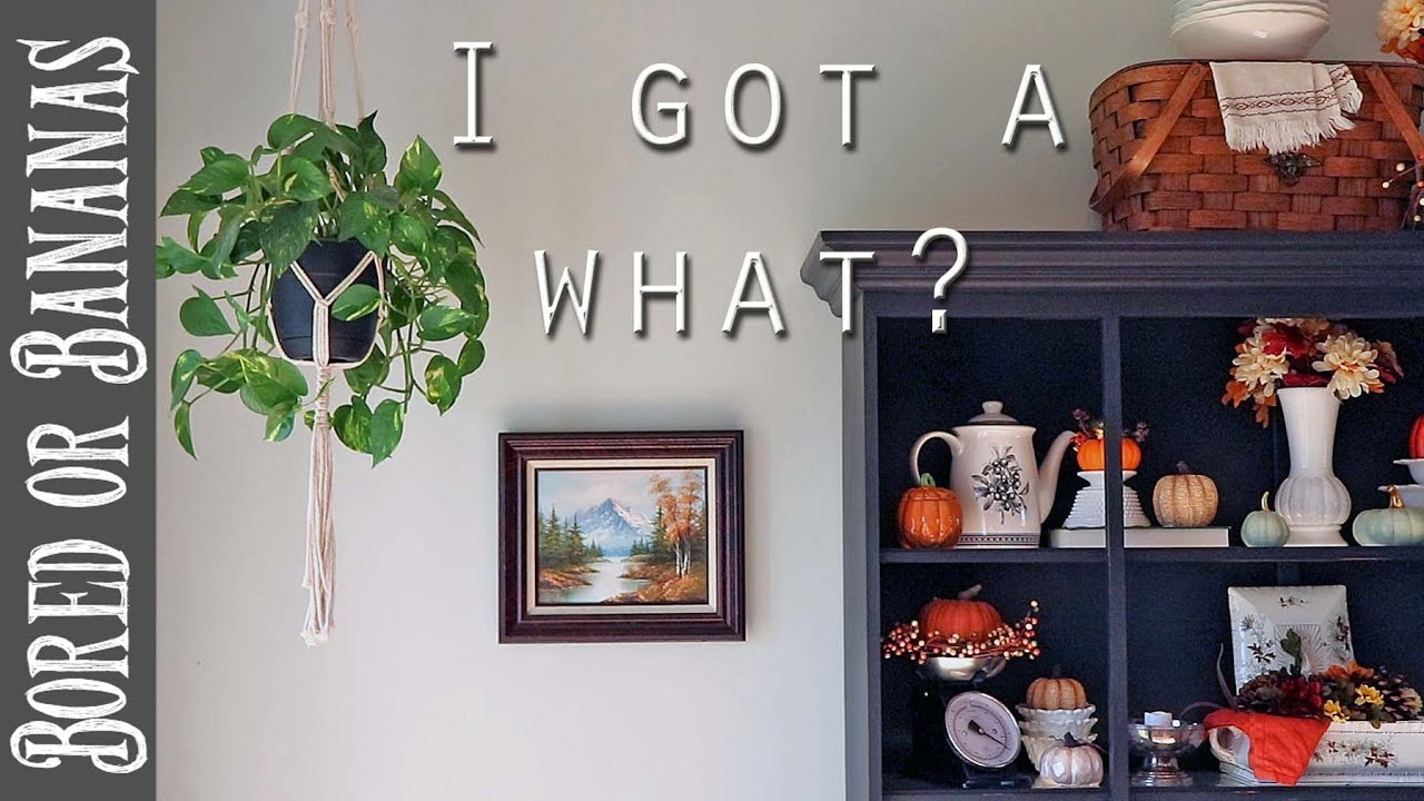 Goodwill Thrift Haul + How I Decorate my Finds! - YouTube