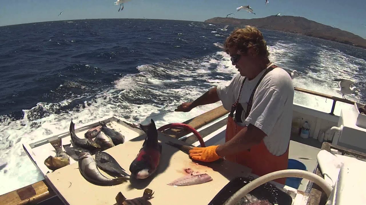 Deckhand John Ellis Filleting Fish on the Island Tak - YouTube