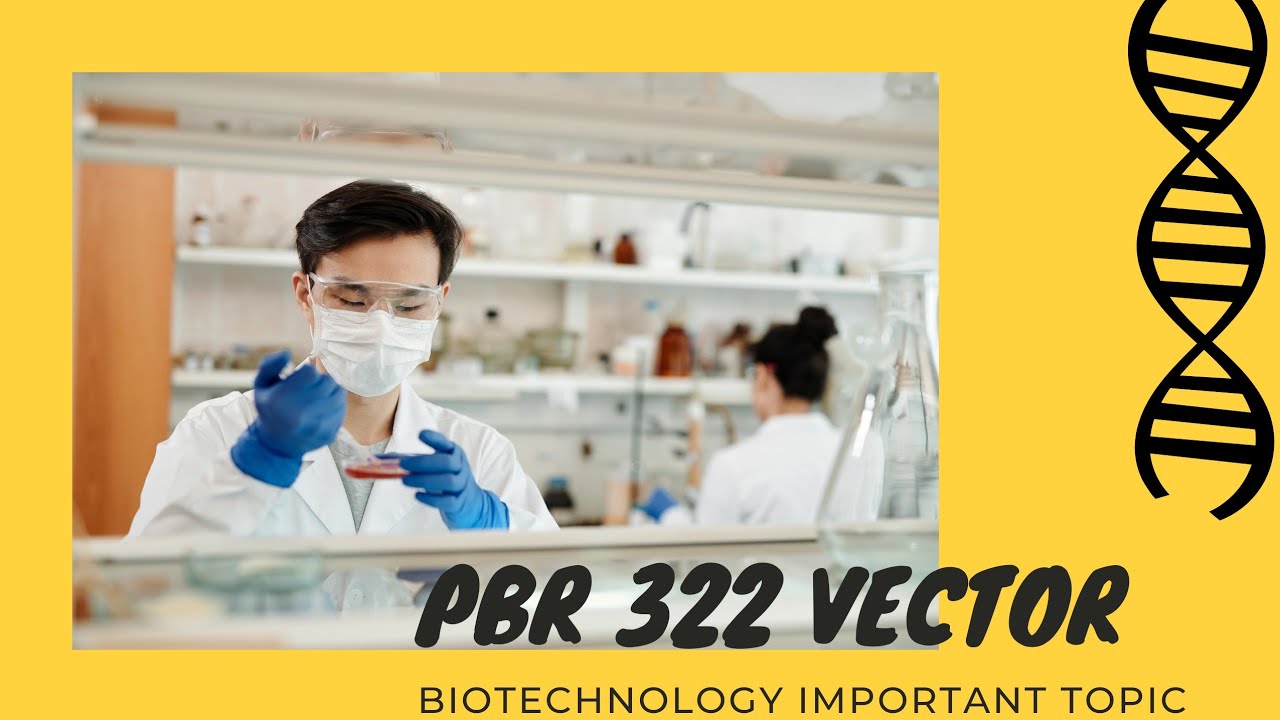 pBR 322 vector | class 12th Biotechnology important💥 diagram for NEET ...