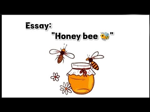 Essay on honey bee 🐝 in English/English Mazmoon on Honey 🍯 bee 🐝 ...