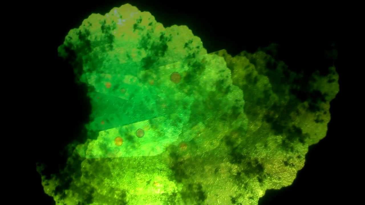 Live Fractal Projection: 19 - YouTube