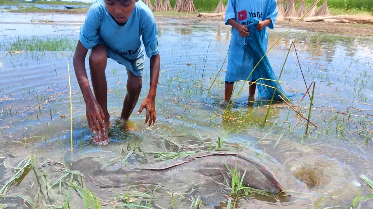 Best hand fishing video || Two small fish hunter catching fish by hand ...