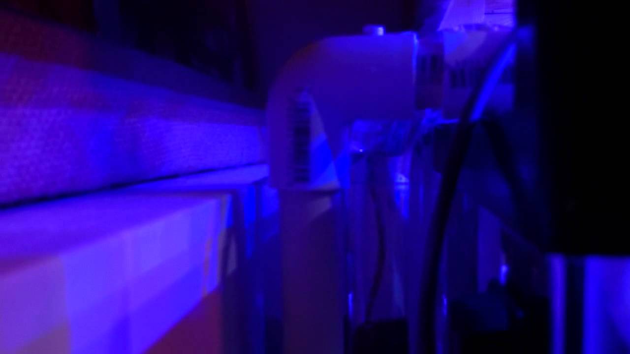 Progression of Reef and 15 gallon column tank (part 12) - YouTube