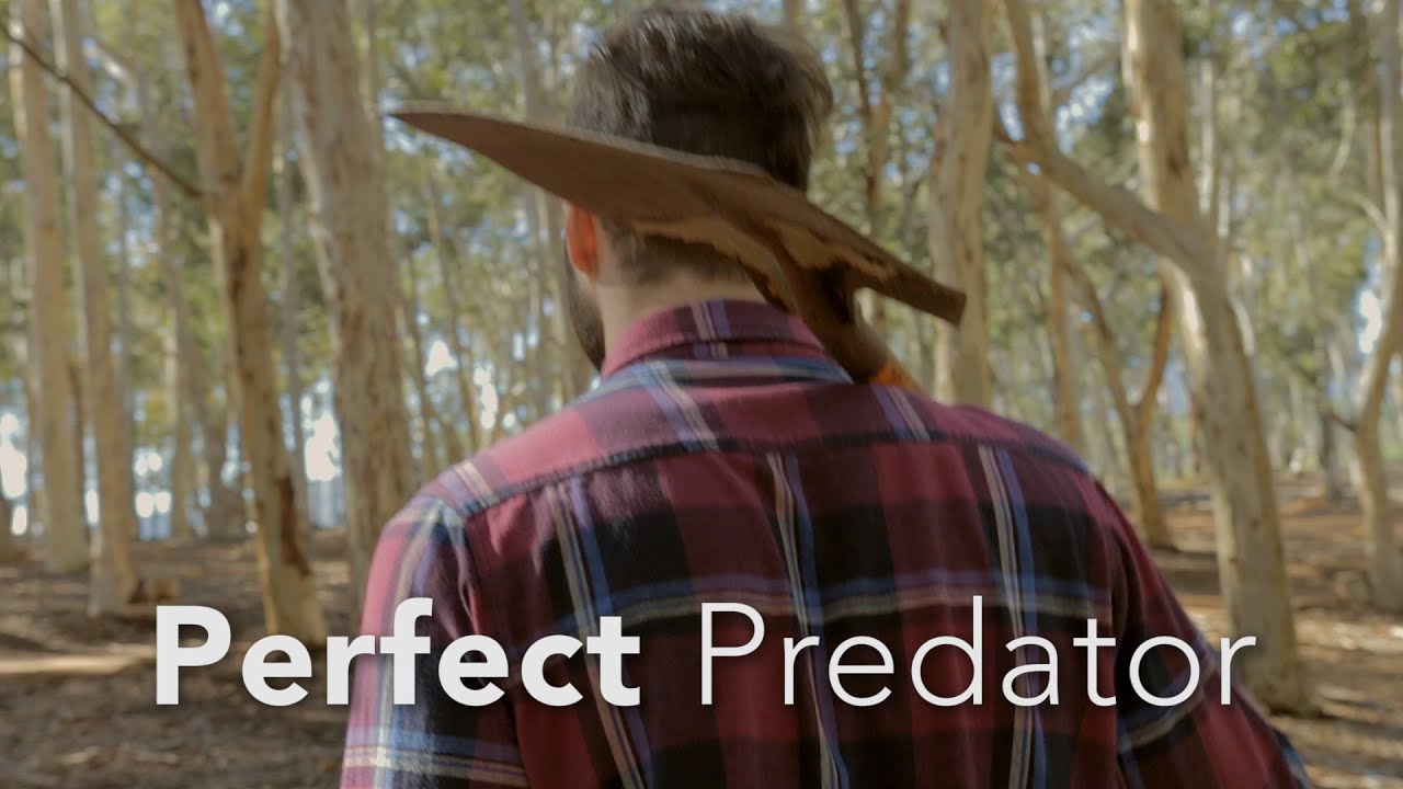 Perfect Predator || Spoken Word || Chris Barnard - YouTube